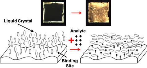Home Chemoresponsive Liquid Crystal Research Database