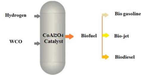 Graphical Summary Of The Catalytic Activity Testing Download
