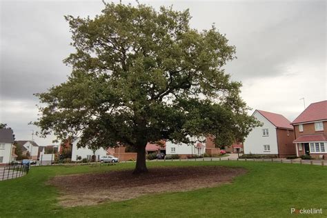 Xiaomi Mi T Pro Review A Change Of Direction