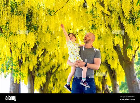 Dave Hackett And His Daughter Daisy Five Explore The Laburnum Arch In The Grounds Of Preston