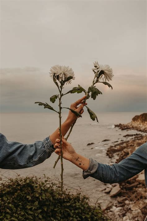 Magic connection en 2024 Fotografia Fotografía Ilustraciones