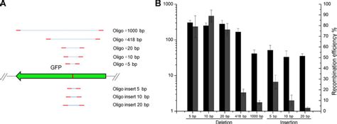 Gene Deletion And Insertion Using Crispr Cas12a Assisted Download Scientific Diagram