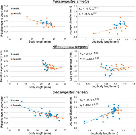 Eye‐to‐body Size Scaling Relationships By Sex For Three Species Of