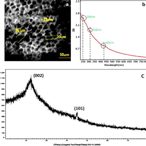 Coffee Biochar Through Pyrolysis Process And Fesem Image Download