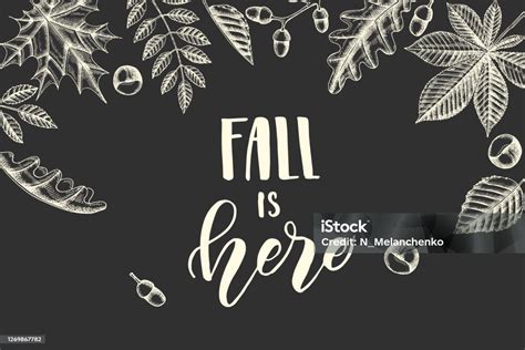 가을 문자 서예 문구 가을은 여기에 있습니다 글자 스케치 손으로 그린 낙서는 단풍 나무 자작 나무 밤 도토리 재 나무 참나무를