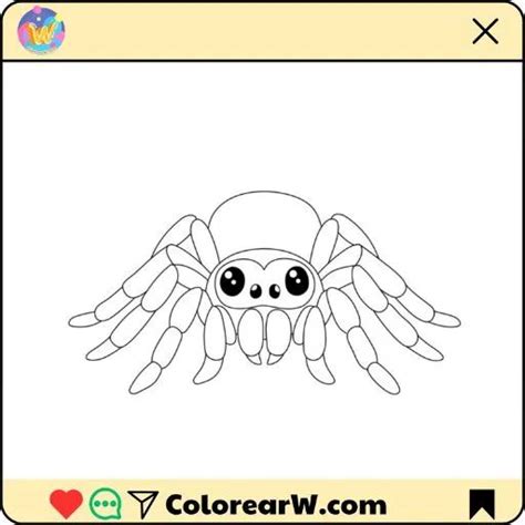 102 Araña Para Colorear Descargar E Imprimir Gratis Arañas
