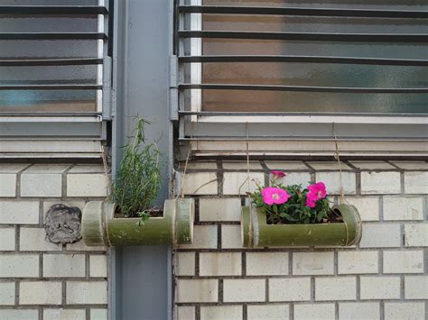 Sho Nishino Show Nishino Twilog