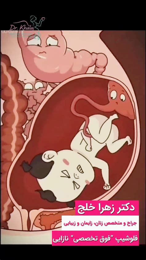 فیلم حرکات جنین در رحم مادر