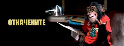 Хорската завист няма граници Не се плаши това са костите на майка ти Знаеш че днес дойде