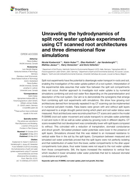 PDF Unraveling The Hydrodynamics Of Split Root Water Uptake Experiments Using CT Scanned Root