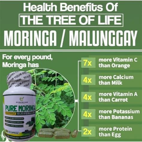 Moringa Malunggay Capsule Pure Organic Herbal Supplement 100caps