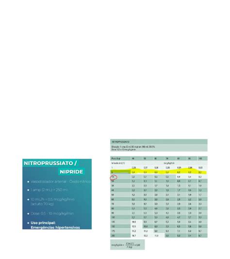 Nipride Pdf