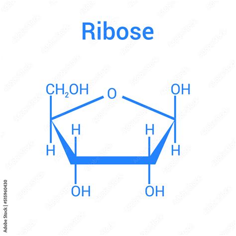 Vetor De Chemical Structure Of Ribose C5h10o5 Do Stock Adobe Stock