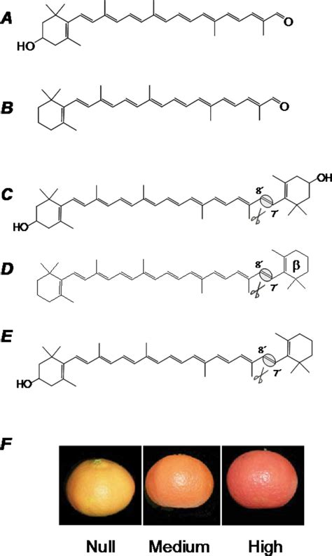 Structure Of The Main C30 Apocarotenoids Identified In Citrus Fruits