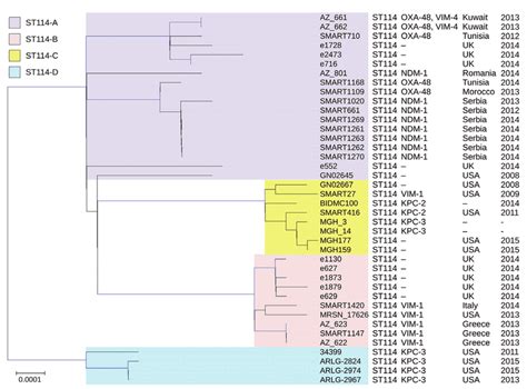 Phylogenetic Tree Of The Different Clades Among 40 Enterobacter