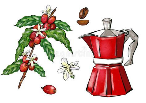 Red Traditional Italian Coffee Maker With Coffee Branch Ripe Beans And