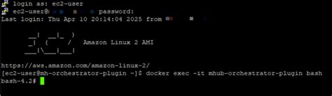 Automate Large Scale Migration To Amazon Ec2 Using Aws Migration Hub