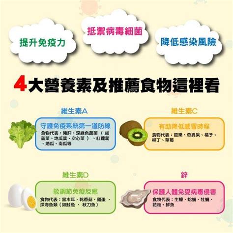 健康網怎麼吃才營養均衡 4大營養素的代表食物一次看 自由健康網