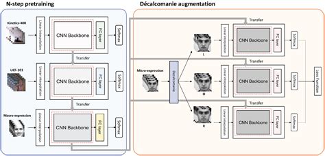 N Step Pre Training And Décalcomanie Data Augmentation For Micro