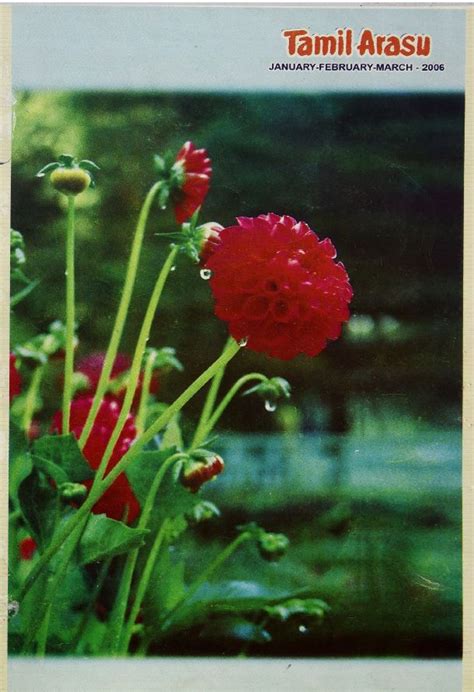 Tamil Arasu இதழ்