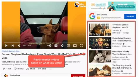 How Does The YouTube Algorithm Work Can It Be Beat