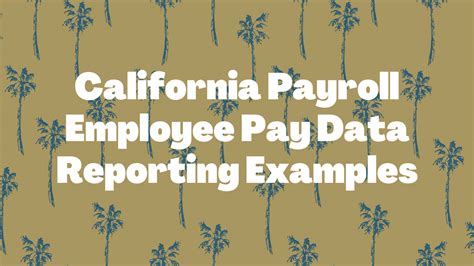 24 Clear California Pay Data Reporting Examples