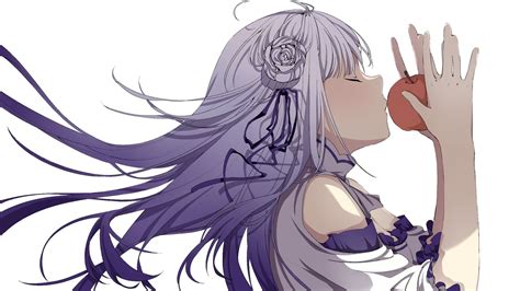 Media Lia With An Appa Rrezero