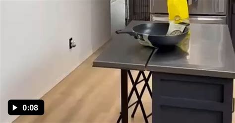 Bro Knows What He Is Doing 😂 9gag