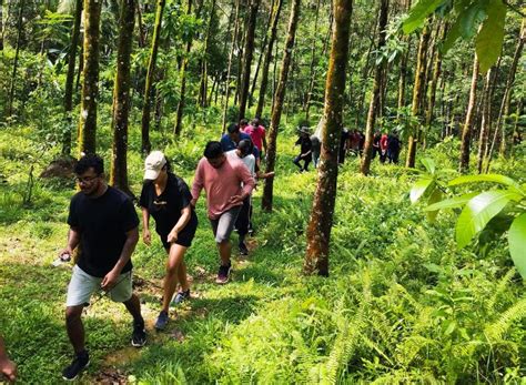 Wavenet On Linkedin Unlocking Innovation And Adventure Wavenet