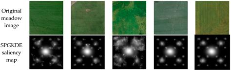 electronics free full text saliency preprocessing locality constrained linear coding for
