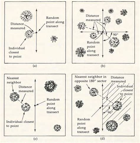 Terrestrial Plants And Their Water Supply Feedback Loop Diag