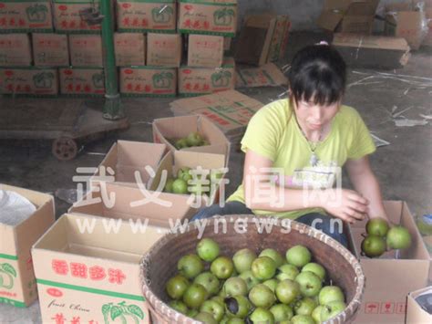 桐琴蜜梨上市啦 图 武义新闻网