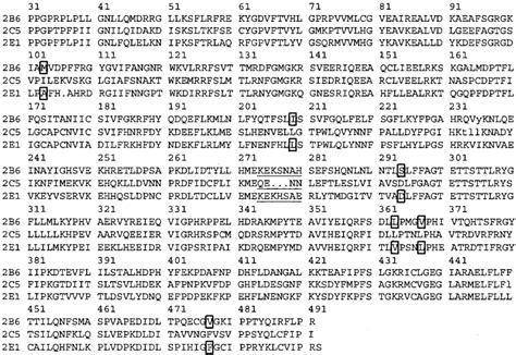 Sequence Alignment Of Cyp2b6 Cyp2e1 And Cyp2c5 From Residue 31 To