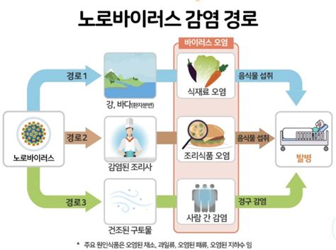 영하 20℃에도 살아남는 ‘노로바이러스스키장·썰매장서 개인위생 필수 파이낸셜뉴스