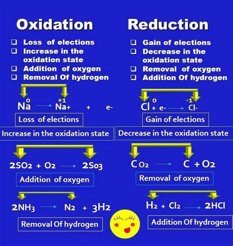 79 Biochemistry Survival Guide Ideas Chemistry Lessons Teaching