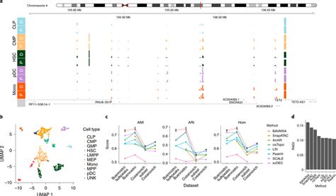 Comparison Of Dimensionality Reduction Methods A Comparison Between