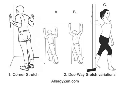 Rotator Cuff Exercises Doorway Stretch At Joseph Galvan Blog