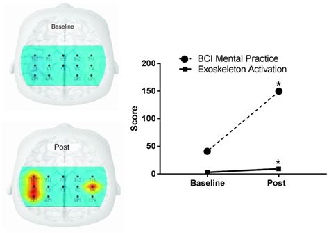Activation Of The Premotor Cortex Primary Motor Primary Somatosensory Download Scientific