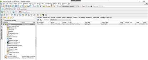 How To Monitor Database Activity With The Toad® Database Browser Utility