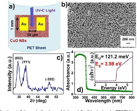 Cuo Based Solar Blind Photodetector For Flexible Electronics Semantic