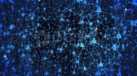 Neurons 3d Hd
