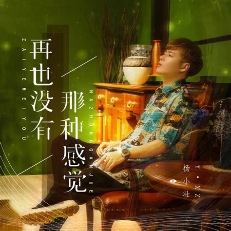 再也没有那种感觉 杨小壮 高音质在线试听 再也没有那种感觉歌词 歌曲下载 酷狗音乐