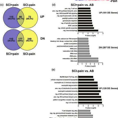 Gene Expression Profiles Differ Between Individuals With Chronic Sci Download Scientific