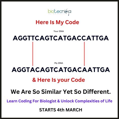 Coding Biologists Data Python Rlanguage Programming Biotecnika