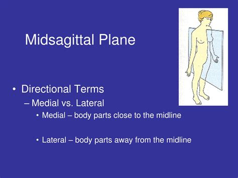 Ppt Unit 6 2 Body Planes Directions And Cavities Powerpoint