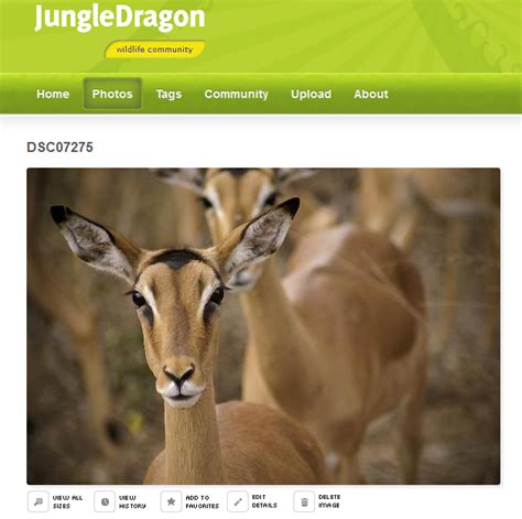 Php How To Stop Gd2 From Washing Away The Colors Upon Resizing Images