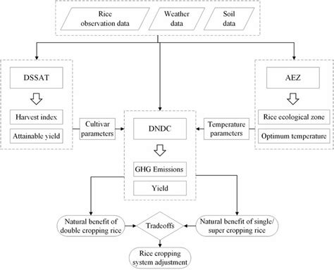 Flow Chart Of The Multi Model Coupling And Simulation Download Scientific Diagram