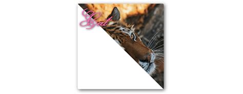 Taming Blend Modes `difference` And `exclusion` Css Tricks Css Tricks