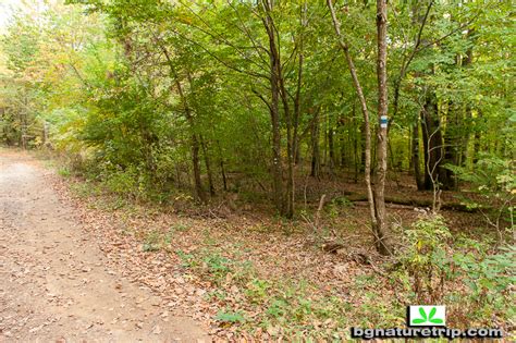 Българи Резерват Силкосия Bgnaturetrip