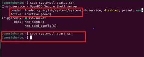 how to install openssh server on ubuntu 24 04